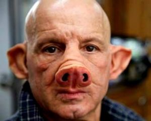 Experiment periculos: cercetătorii au creat primul embrion om-porc ...